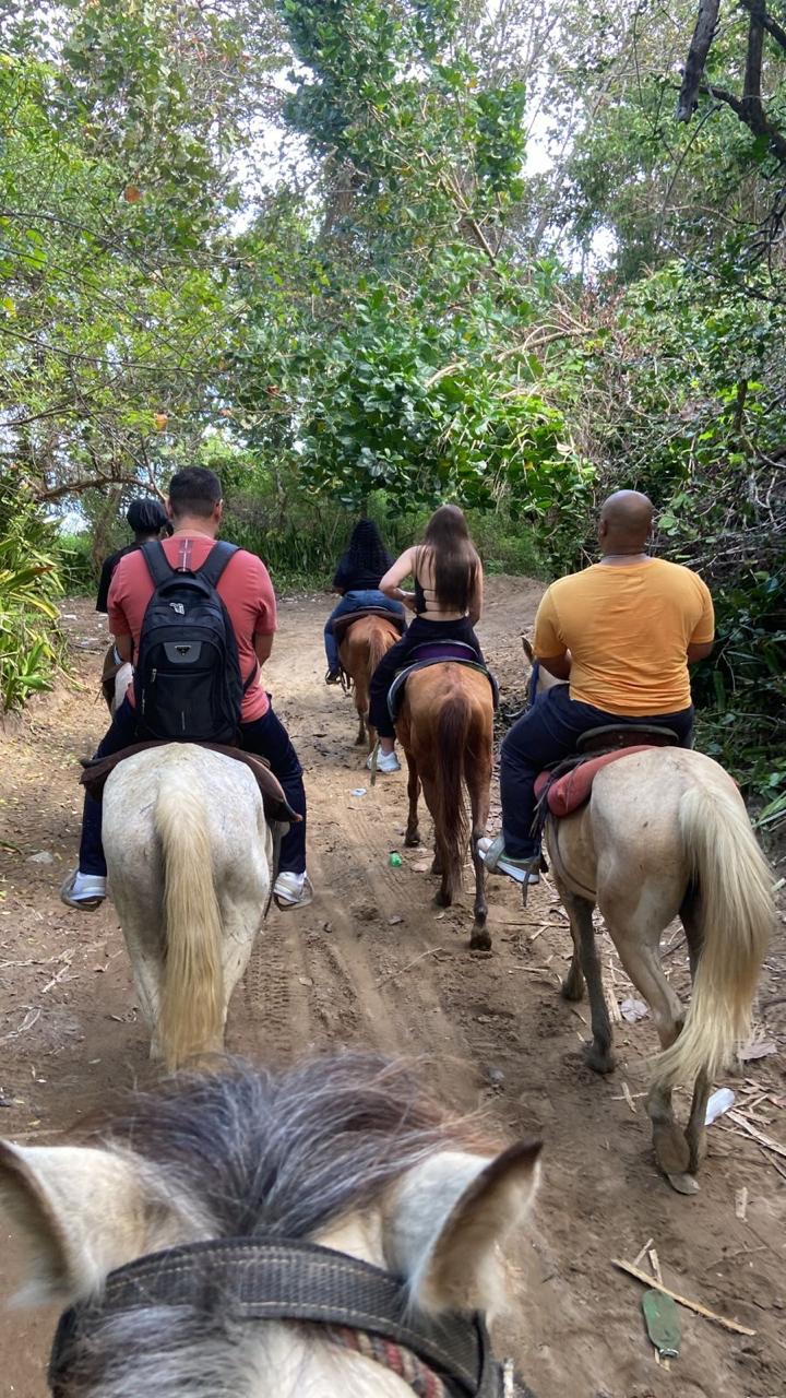 Horseback Riding Tours | Caminero Transfers Tours